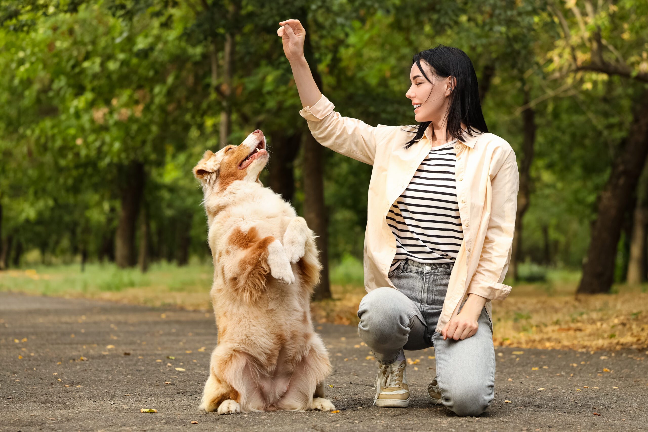 Understanding How Dogs Learn - Animal Kingdom | Puppies N Love